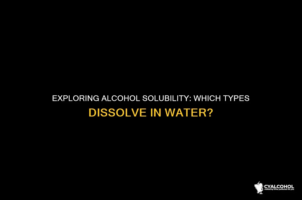 Exploring Alcohol Solubility: Which Types Dissolve In Water? | CyAlcohol