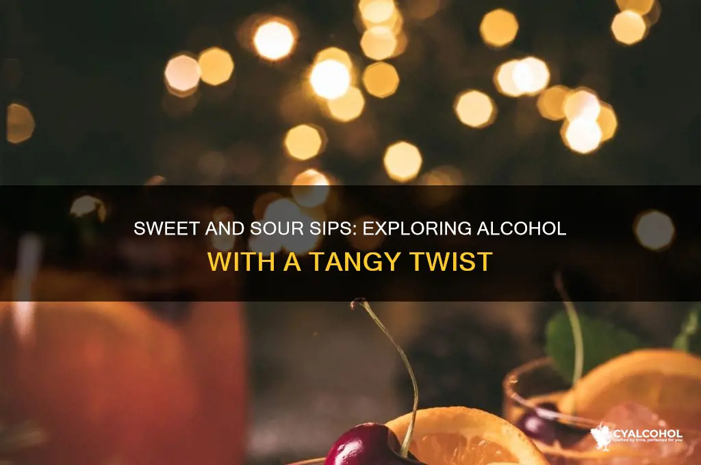 Sweet And Sour Sips: Exploring Alcohol With A Tangy Twist | CyAlcohol