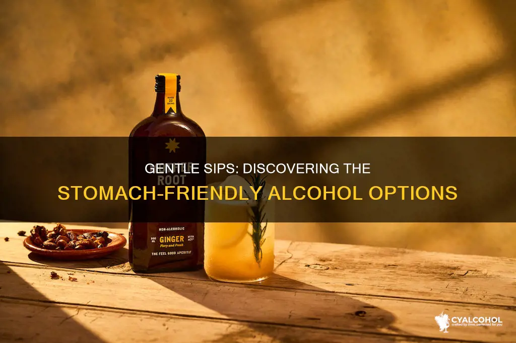 Gentle Sips: Discovering The Stomach-Friendly Alcohol Options | CyAlcohol