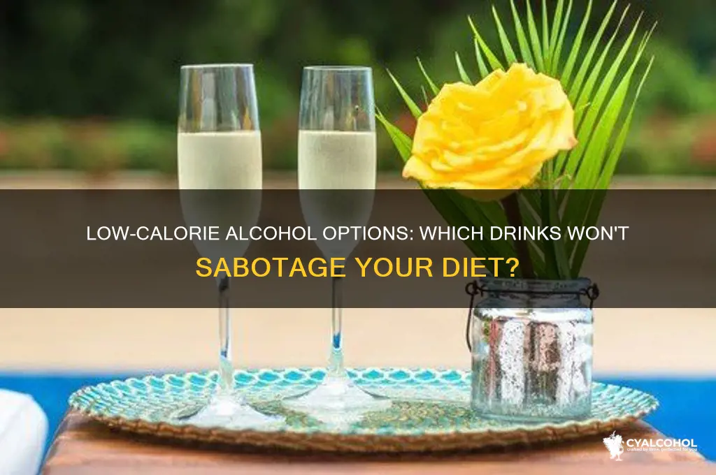 Low-Calorie Alcohol Options: Which Drinks Won't Sabotage Your Diet ...