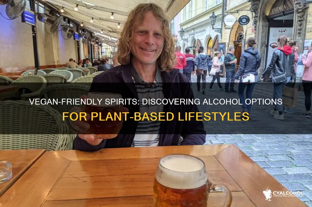 Vegan-Friendly Spirits: Discovering Alcohol Options For Plant-Based ...