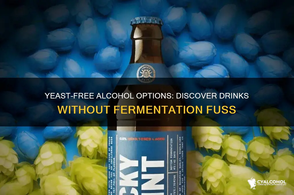 Yeast-Free Alcohol Options: Discover Drinks Without Fermentation Fuss ...