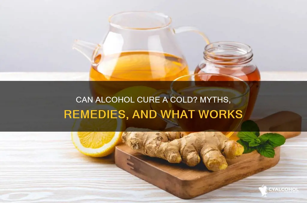 Can Alcohol Cure A Cold? Myths, Remedies, And What Works | CyAlcohol