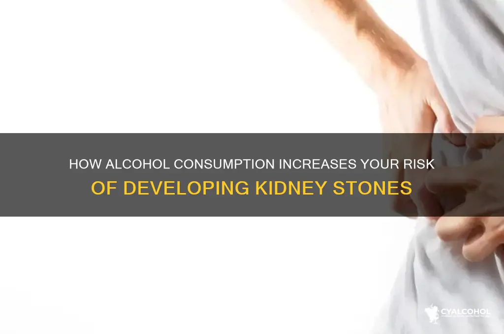 How Alcohol Consumption Increases Your Risk Of Developing Kidney Stones ...