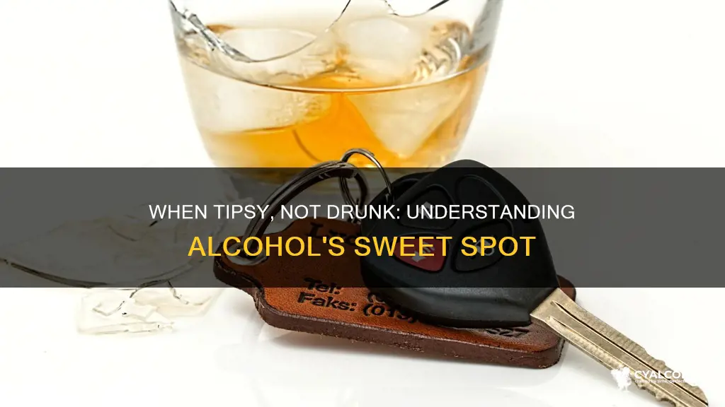 When Tipsy, Not Drunk: Understanding Alcohol's Sweet Spot | CyAlcohol