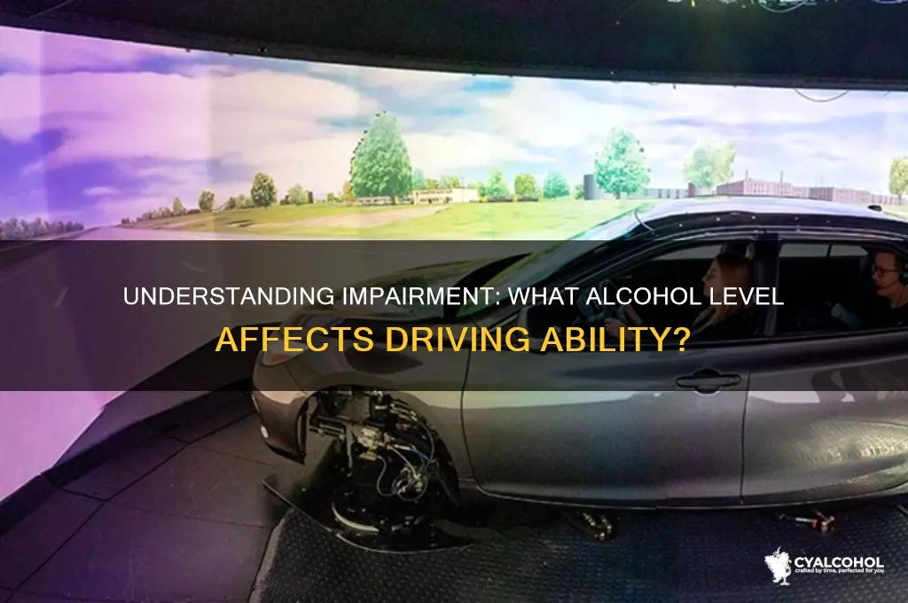 Understanding Impairment: What Alcohol Level Affects Driving Ability ...
