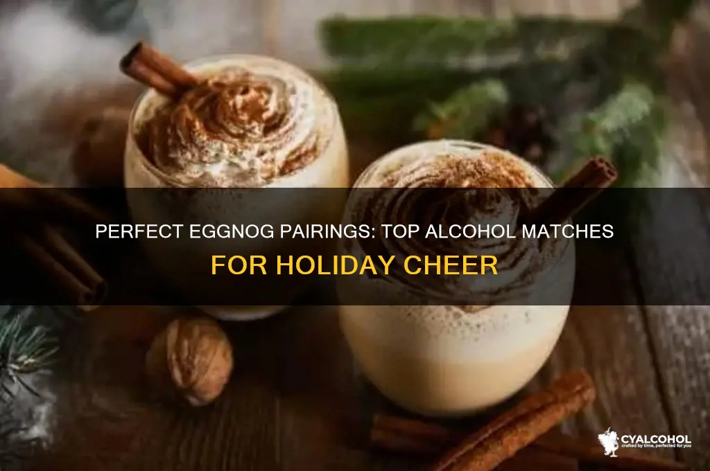 Perfect Eggnog Pairings: Top Alcohol Matches For Holiday Cheer | CyAlcohol