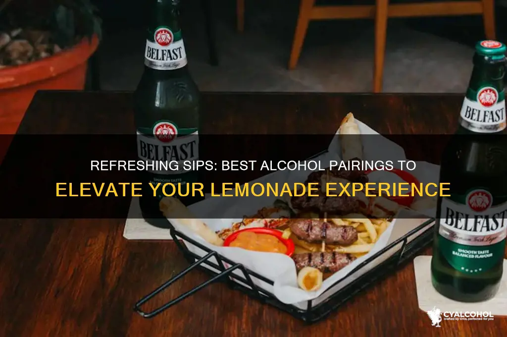 Refreshing Sips: Best Alcohol Pairings To Elevate Your Lemonade ...