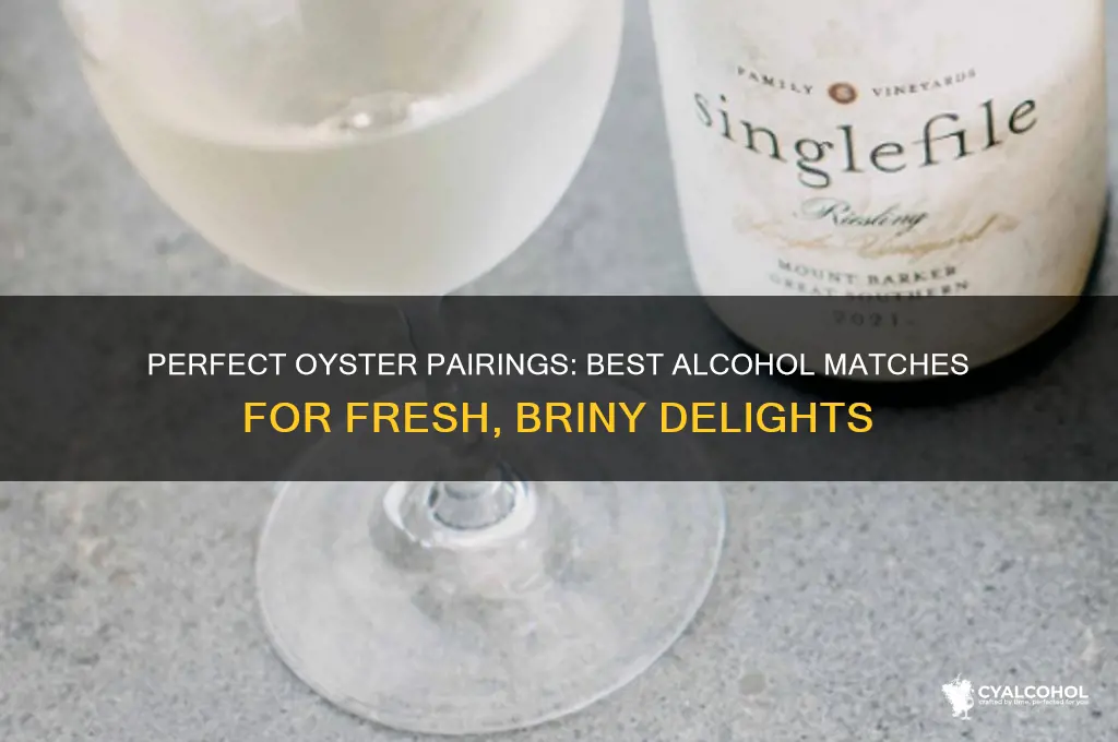 Perfect Oyster Pairings: Best Alcohol Matches For Fresh, Briny Delights ...