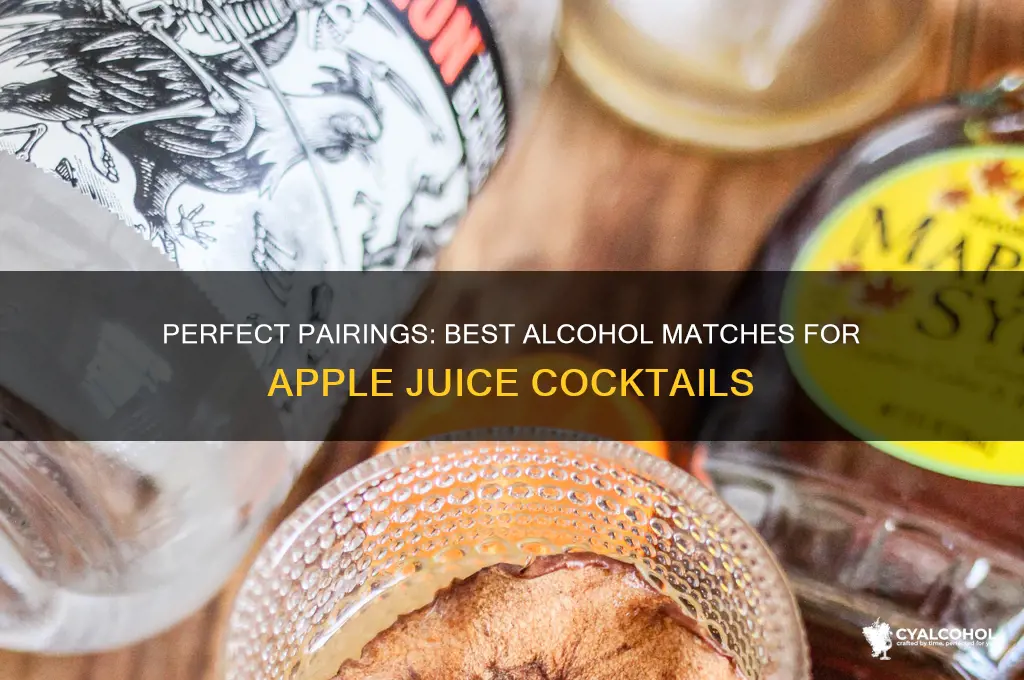 Perfect Pairings: Best Alcohol Matches For Apple Juice Cocktails ...