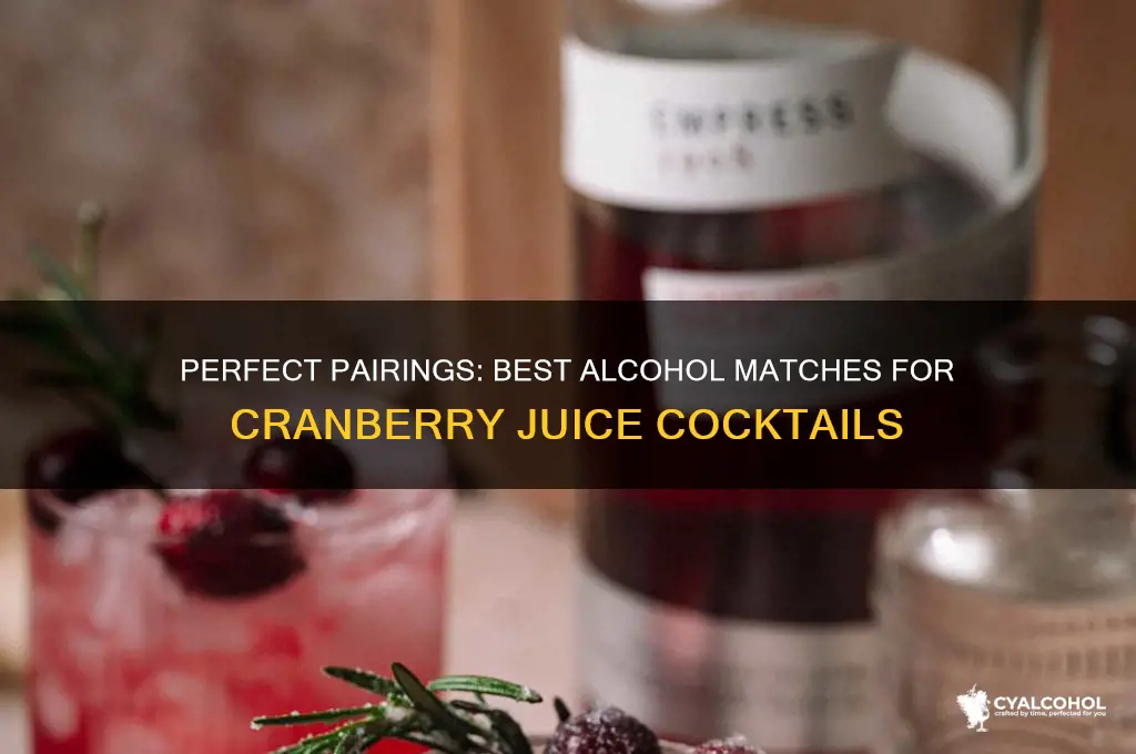 Perfect Pairings: Best Alcohol Matches For Cranberry Juice Cocktails ...