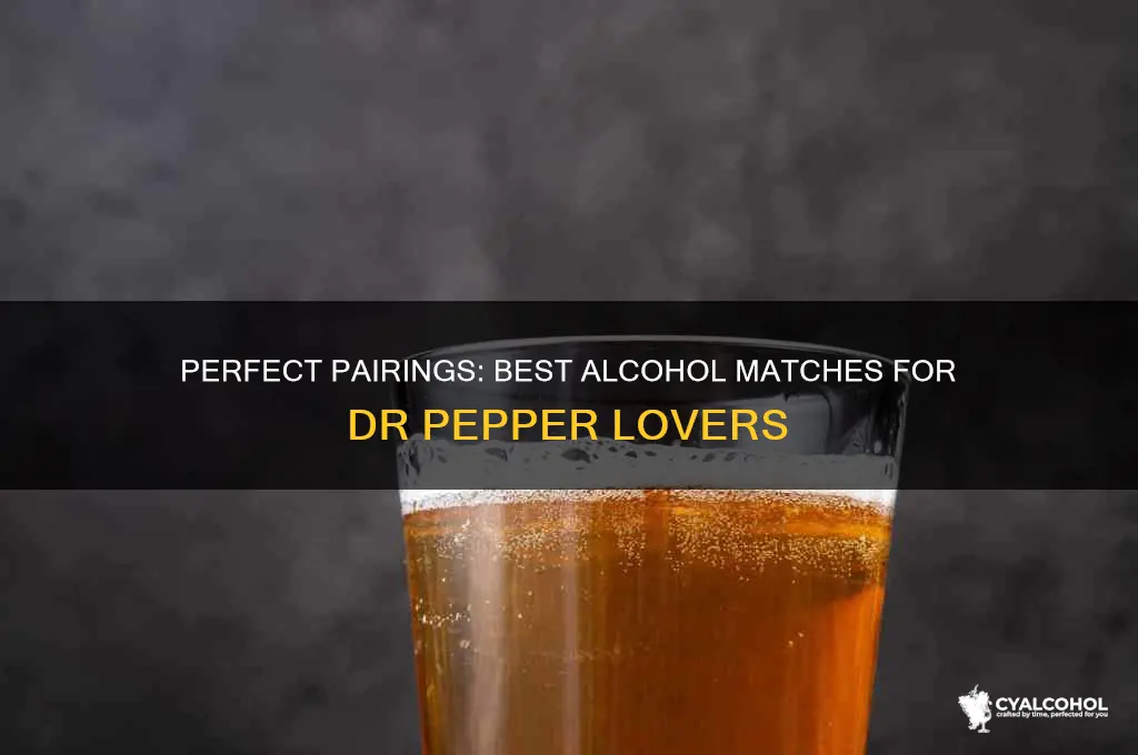 Perfect Pairings: Best Alcohol Matches For Dr Pepper Lovers | CyAlcohol