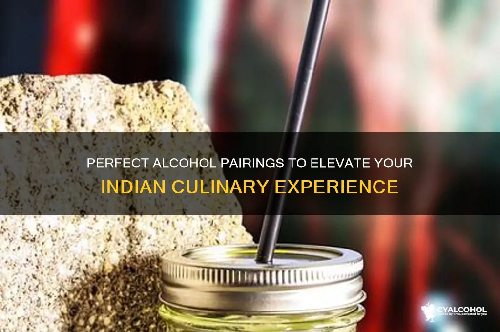 Perfect Alcohol Pairings To Elevate Your Indian Culinary Experience ...