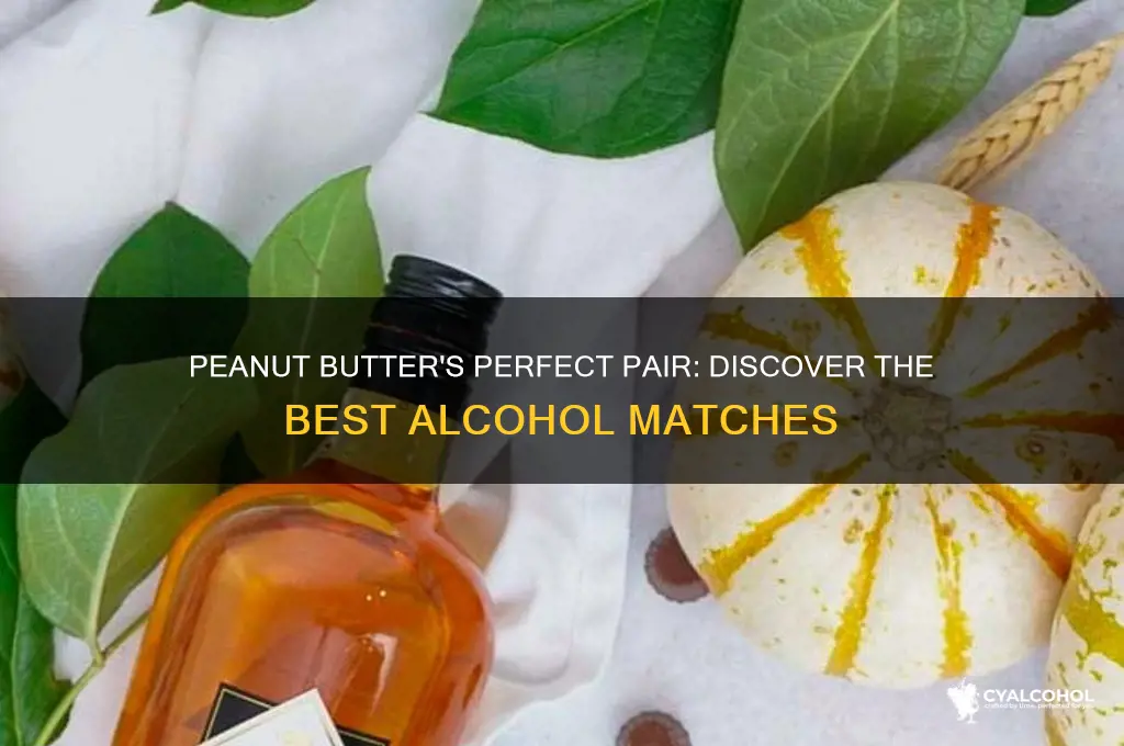 Peanut Butter's Perfect Pair: Discover The Best Alcohol Matches | CyAlcohol