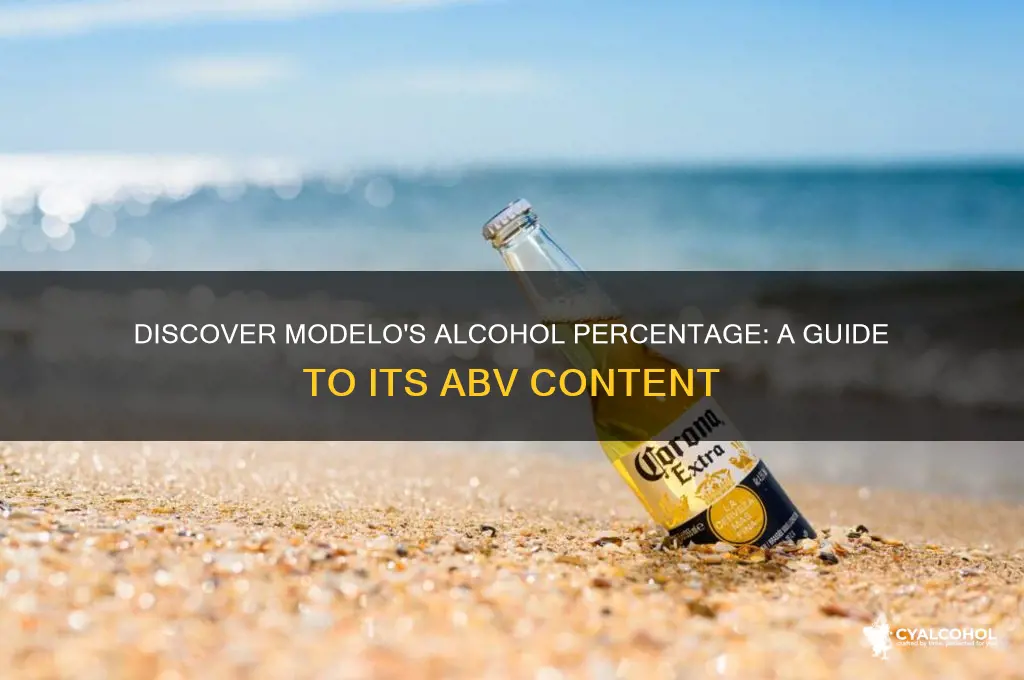 Discover Modelo's Alcohol Percentage: A Guide To Its Abv Content ...