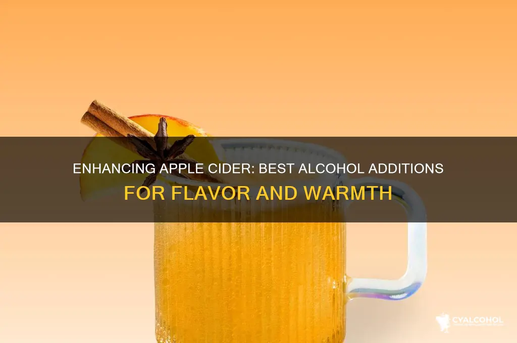 Enhancing Apple Cider: Best Alcohol Additions For Flavor And Warmth ...
