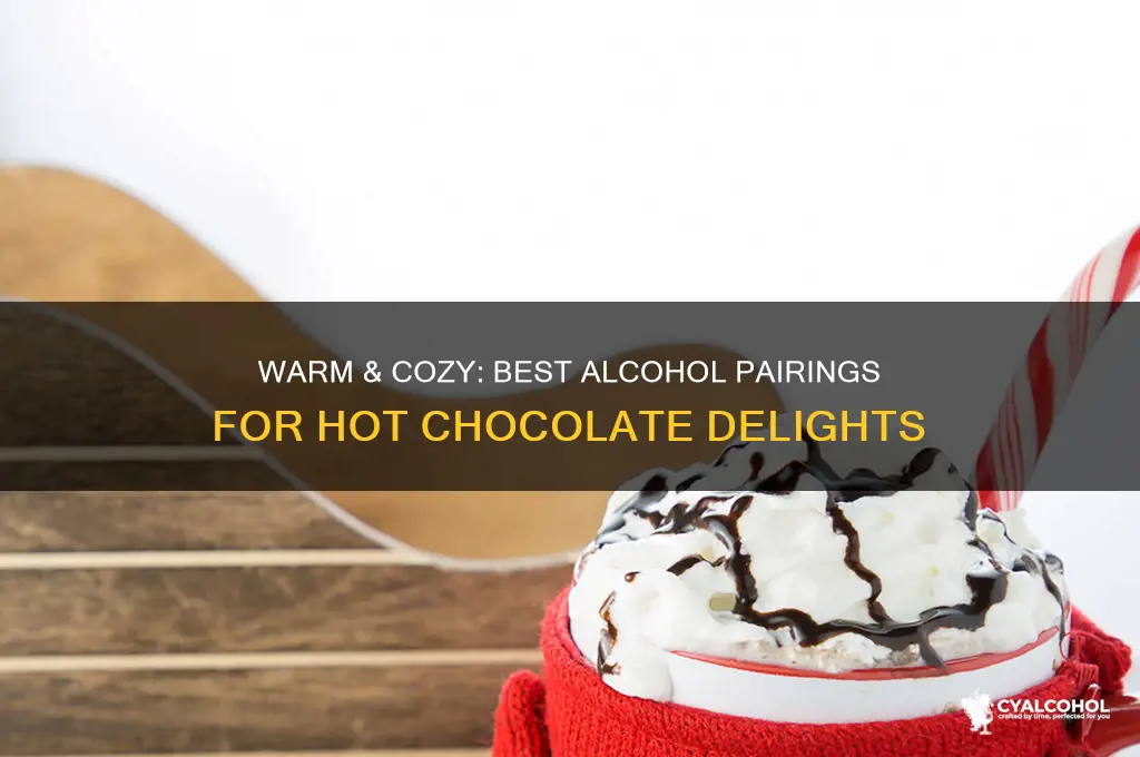 Warm & Cozy: Best Alcohol Pairings For Hot Chocolate Delights | CyAlcohol