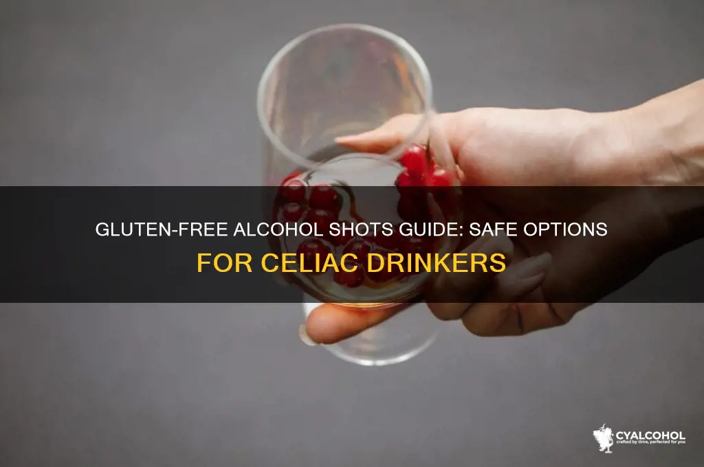 Gluten-Free Alcohol Shots Guide: Safe Options For Celiac Drinkers ...