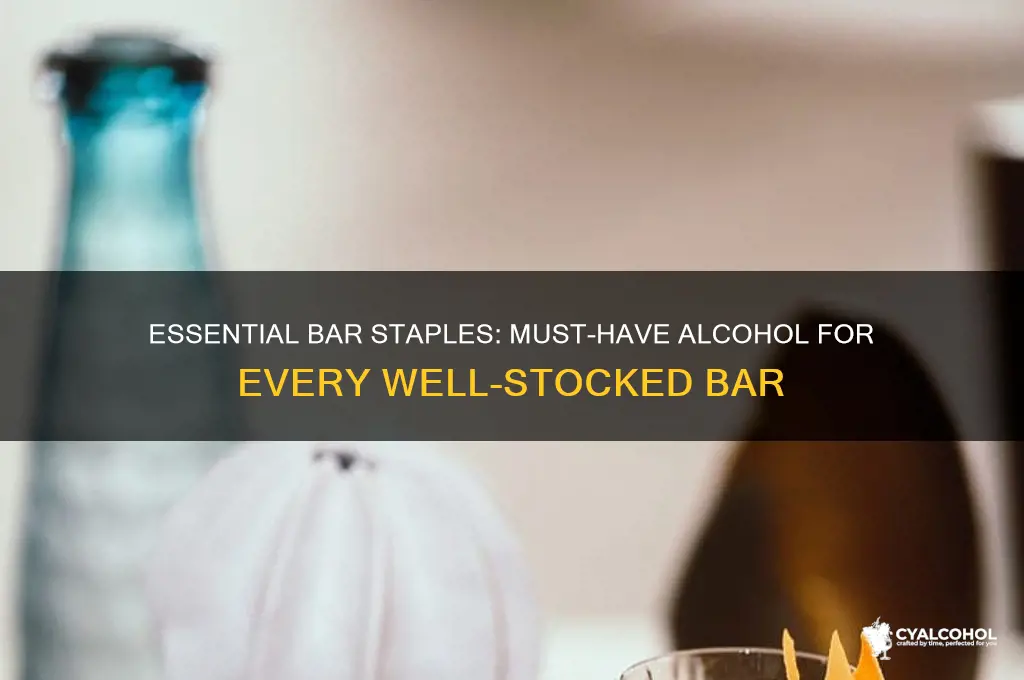Essential Bar Staples: Must-Have Alcohol For Every Well-Stocked Bar ...