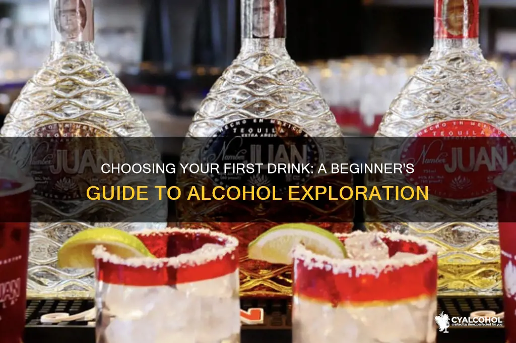 Choosing Your First Drink: A Beginner's Guide To Alcohol Exploration ...
