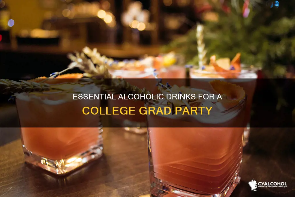 Essential Alcoholic Drinks For A College Grad Party | CyAlcohol
