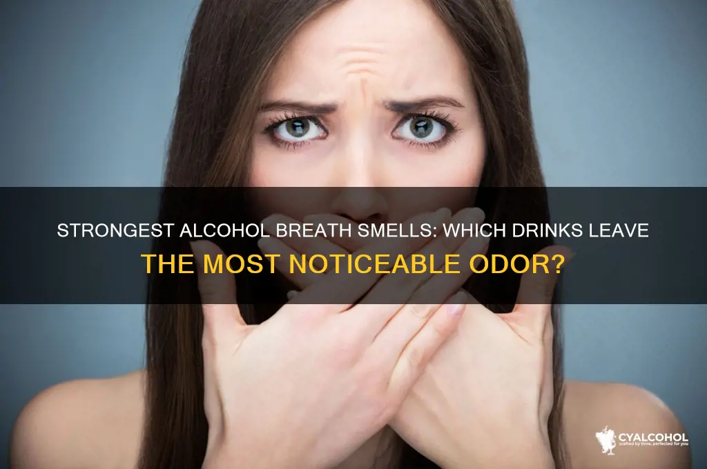 Strongest Alcohol Breath Smells: Which Drinks Leave The Most Noticeable ...