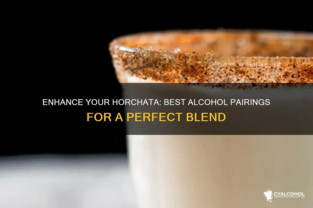Enhance Your Horchata: Best Alcohol Pairings For A Perfect Blend ...