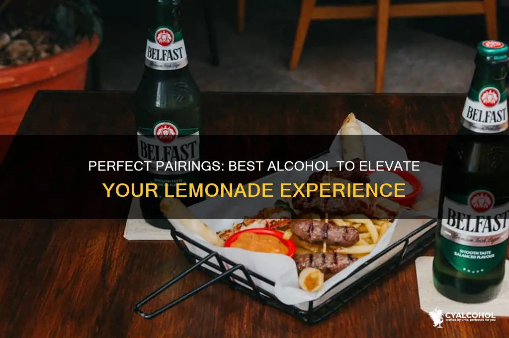 Perfect Pairings: Best Alcohol To Elevate Your Lemonade Experience ...