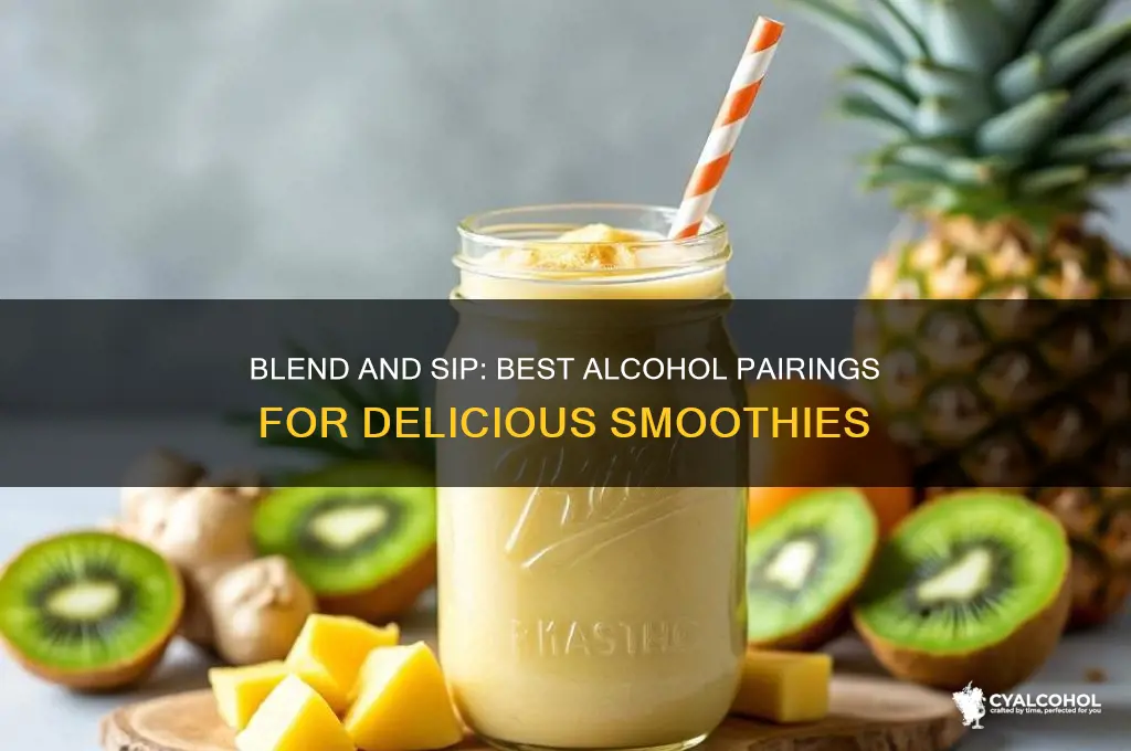 Blend And Sip: Best Alcohol Pairings For Delicious Smoothies | CyAlcohol
