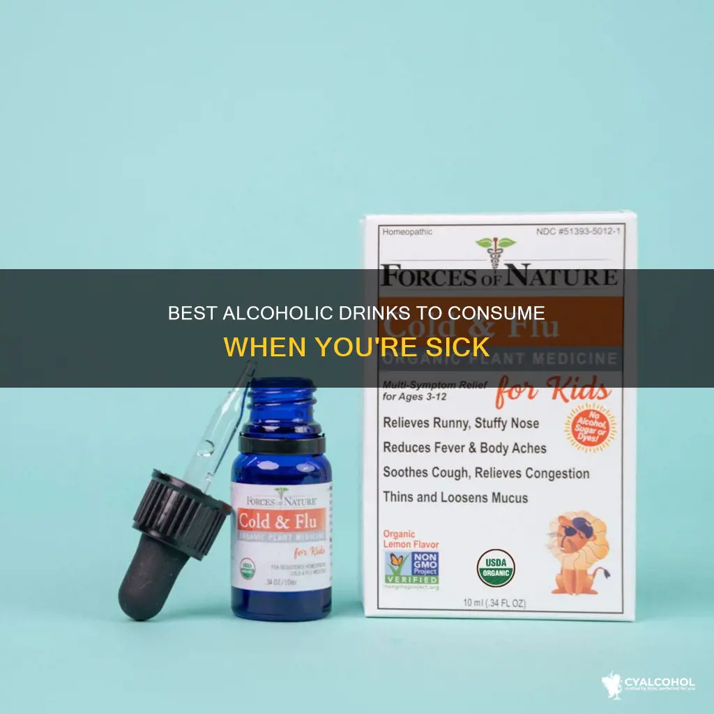 Best Alcoholic Drinks To Consume When You're Sick | CyAlcohol