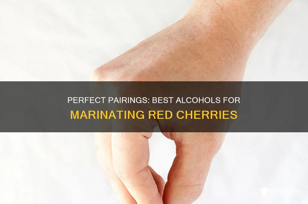 Perfect Pairings: Best Alcohols For Marinating Red Cherries | CyAlcohol