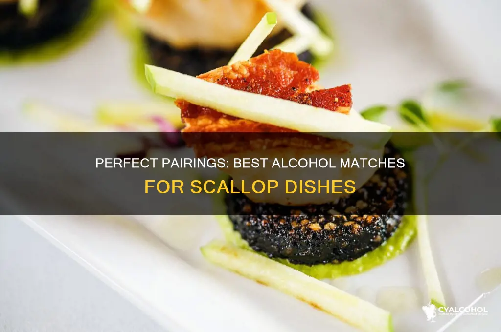 Perfect Pairings: Best Alcohol Matches For Scallop Dishes | CyAlcohol