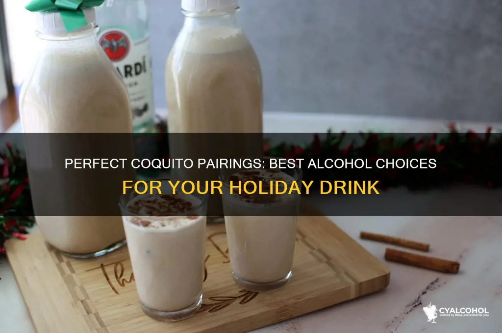 Perfect Coquito Pairings: Best Alcohol Choices For Your Holiday Drink ...