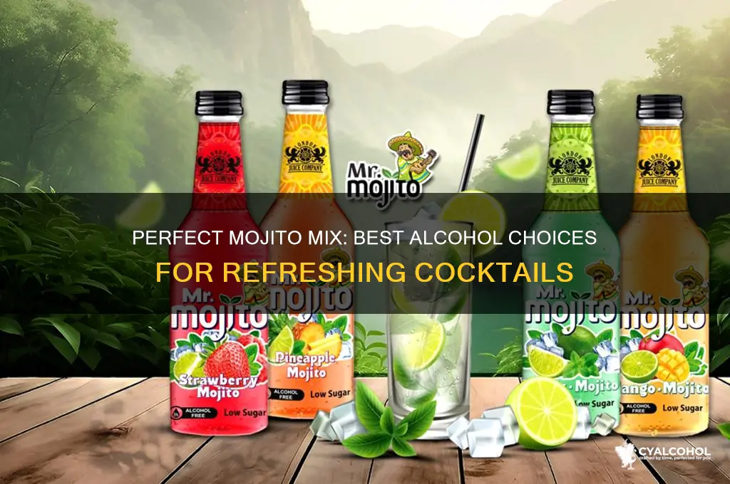 Perfect Mojito Mix: Best Alcohol Choices For Refreshing Cocktails ...