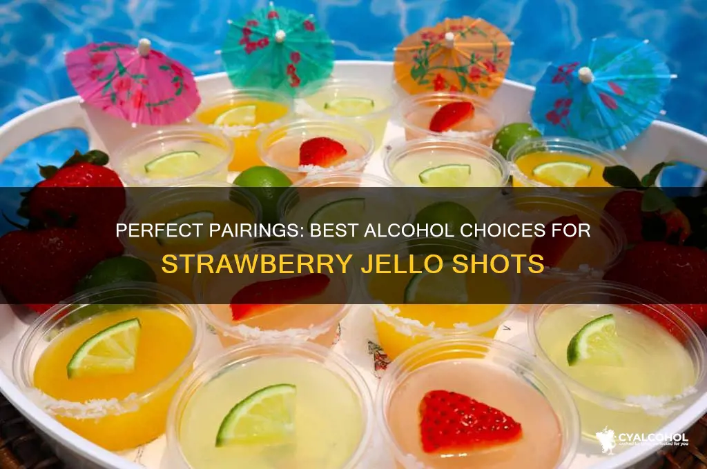 Perfect Pairings: Best Alcohol Choices For Strawberry Jello Shots ...