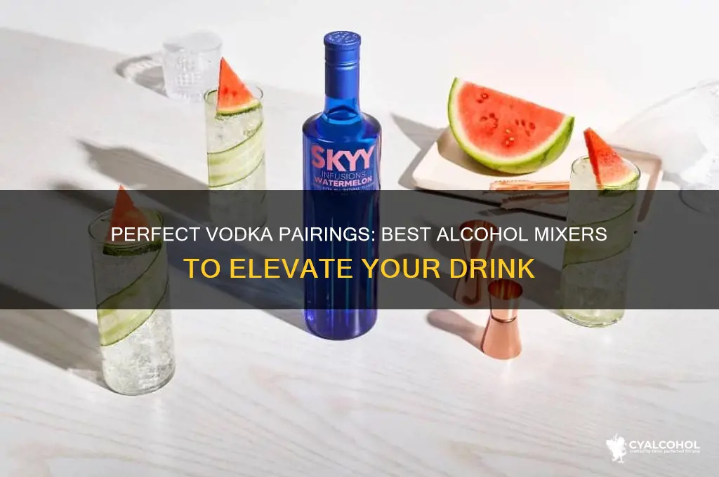 Perfect Vodka Pairings: Best Alcohol Mixers To Elevate Your Drink ...