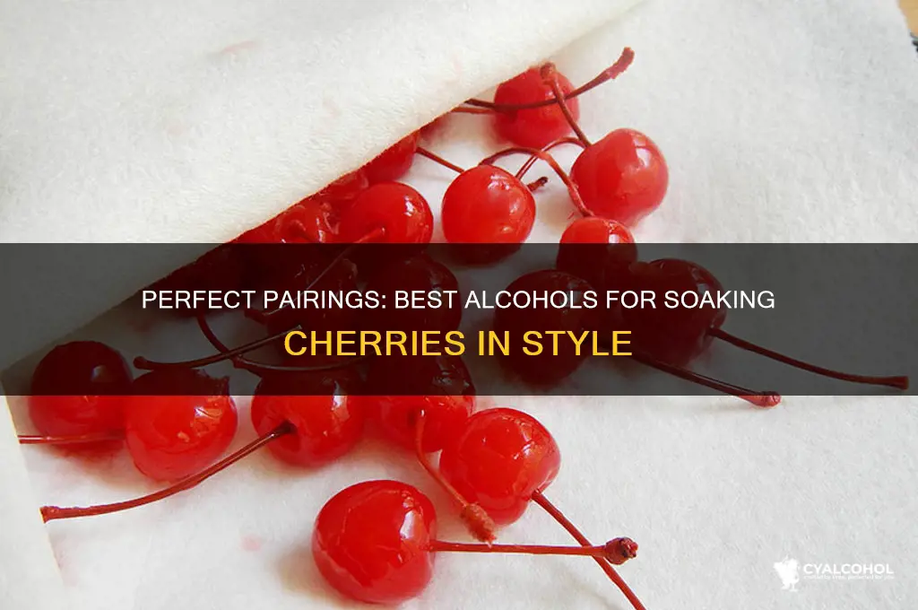 Perfect Pairings: Best Alcohols For Soaking Cherries In Style | CyAlcohol