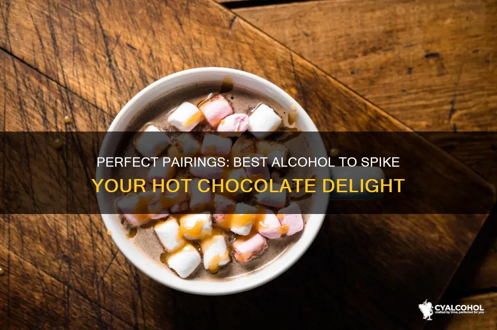 Perfect Pairings: Best Alcohol To Spike Your Hot Chocolate Delight ...