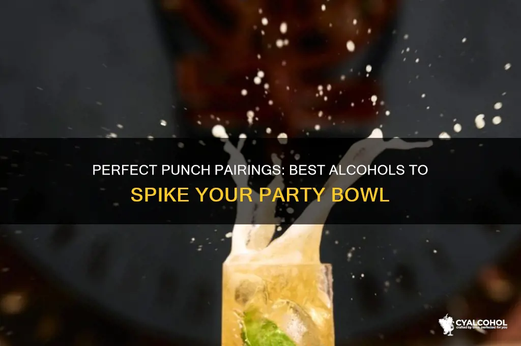Perfect Punch Pairings: Best Alcohols To Spike Your Party Bowl | CyAlcohol
