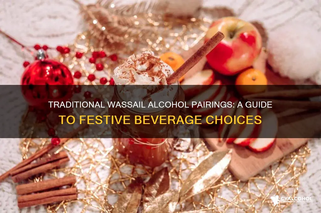 Traditional Wassail Alcohol Pairings: A Guide To Festive Beverage ...