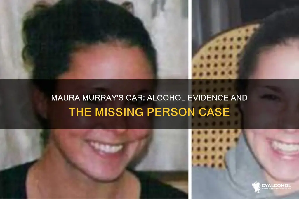 Maura Murray's Car: Alcohol Evidence And The Missing Person Case ...