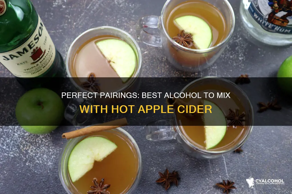 Perfect Pairings: Best Alcohol To Mix With Hot Apple Cider | CyAlcohol