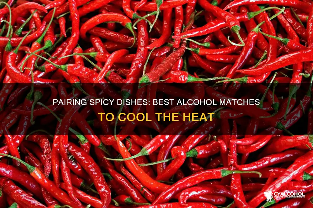 Pairing Spicy Dishes: Best Alcohol Matches To Cool The Heat | CyAlcohol