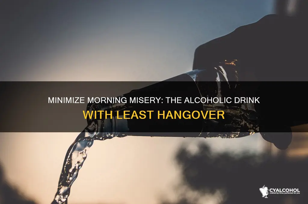 Minimize Morning Misery: The Alcoholic Drink With Least Hangover ...