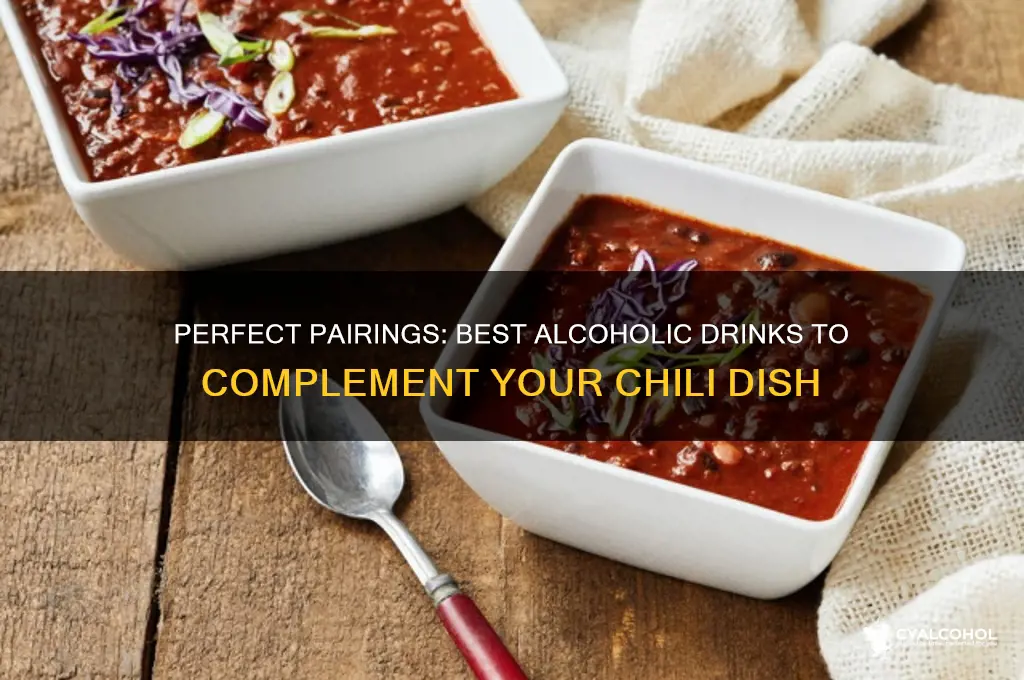 Perfect Pairings: Best Alcoholic Drinks To Complement Your Chili Dish ...