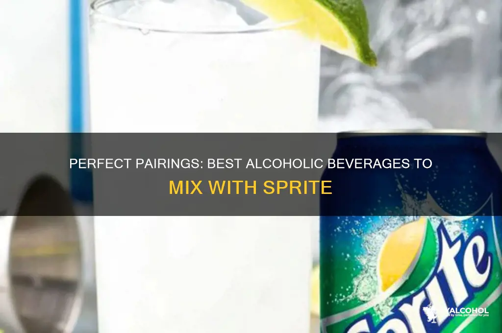 Perfect Pairings: Best Alcoholic Beverages To Mix With Sprite | CyAlcohol