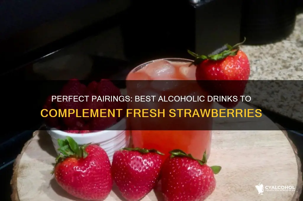 Perfect Pairings: Best Alcoholic Drinks To Complement Fresh ...