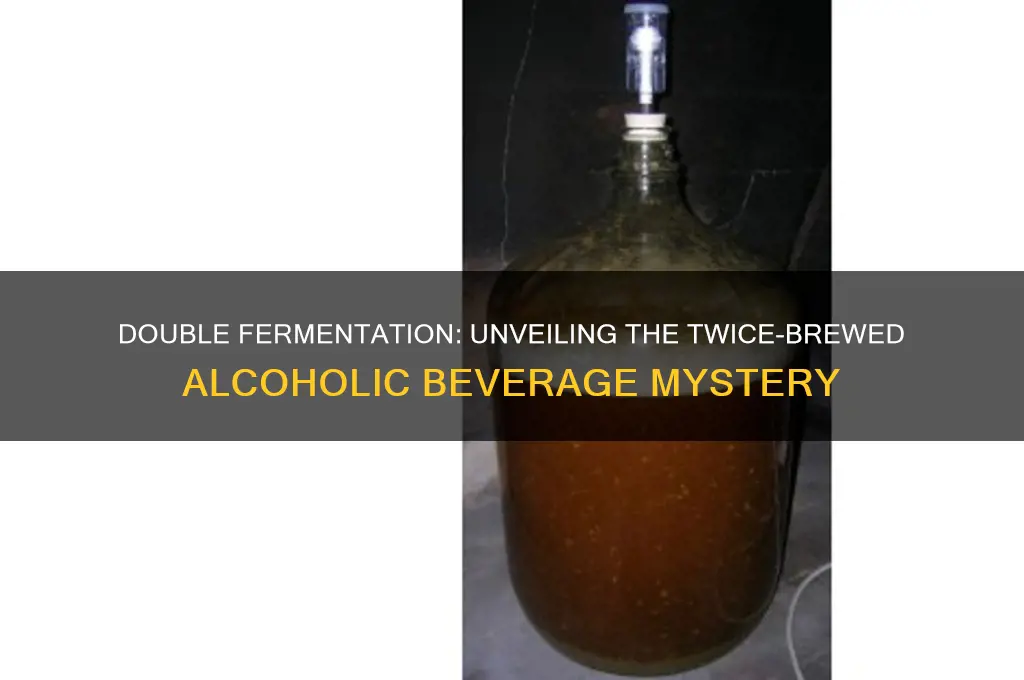 Double Fermentation: Unveiling The Twice-Brewed Alcoholic Beverage ...