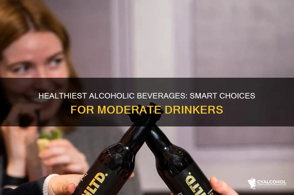 Healthiest Alcoholic Beverages: Smart Choices For Moderate Drinkers ...