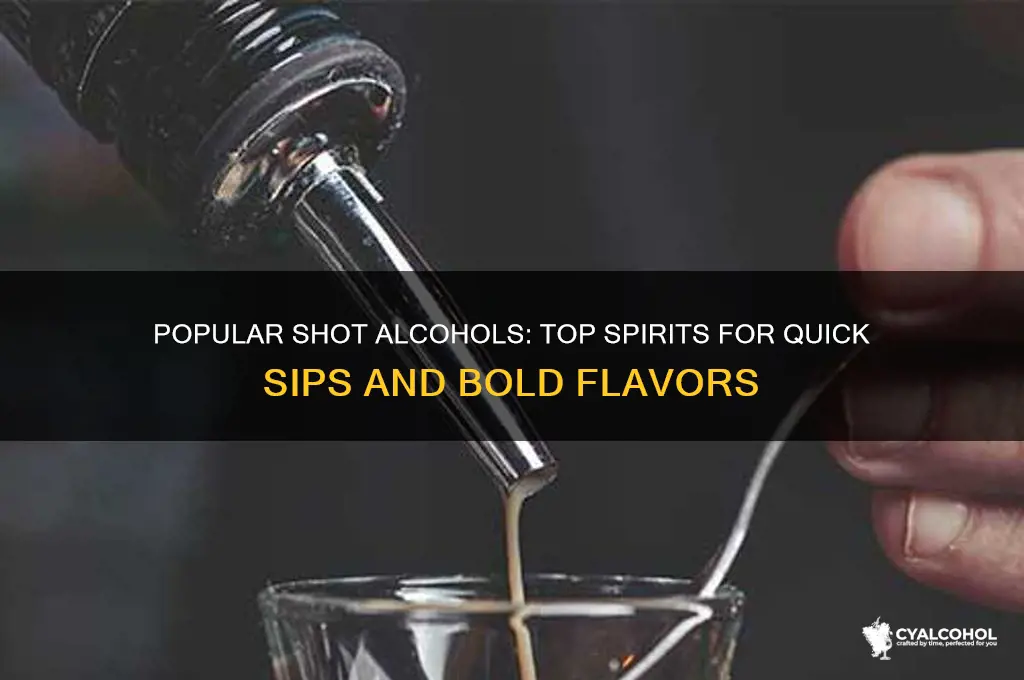 Popular Shot Alcohols: Top Spirits For Quick Sips And Bold Flavors ...